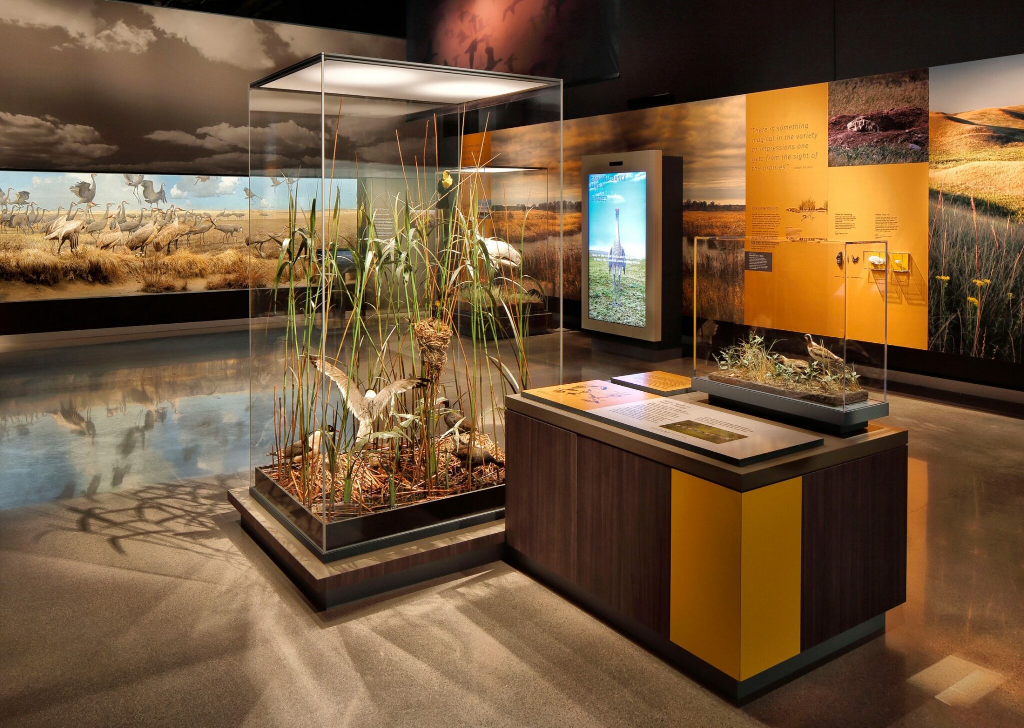 Bell Museum of Natural History - G&A - G&A