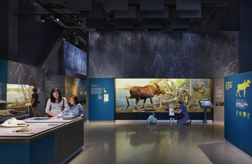 Bell Museum of Natural History - G&A - G&A