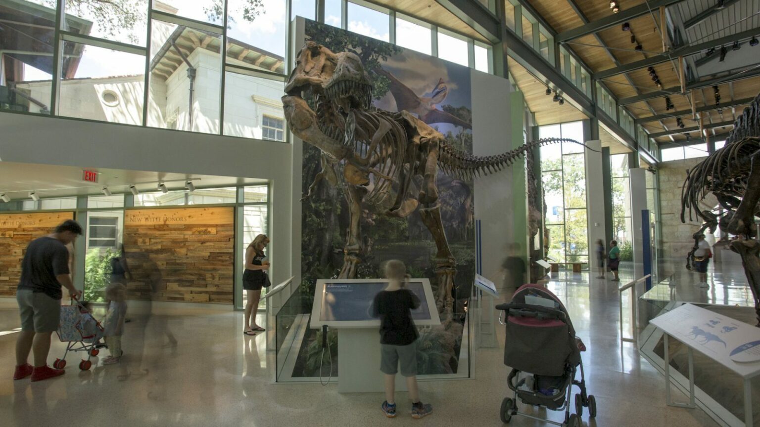 The Witte Museum - G&A - G&A