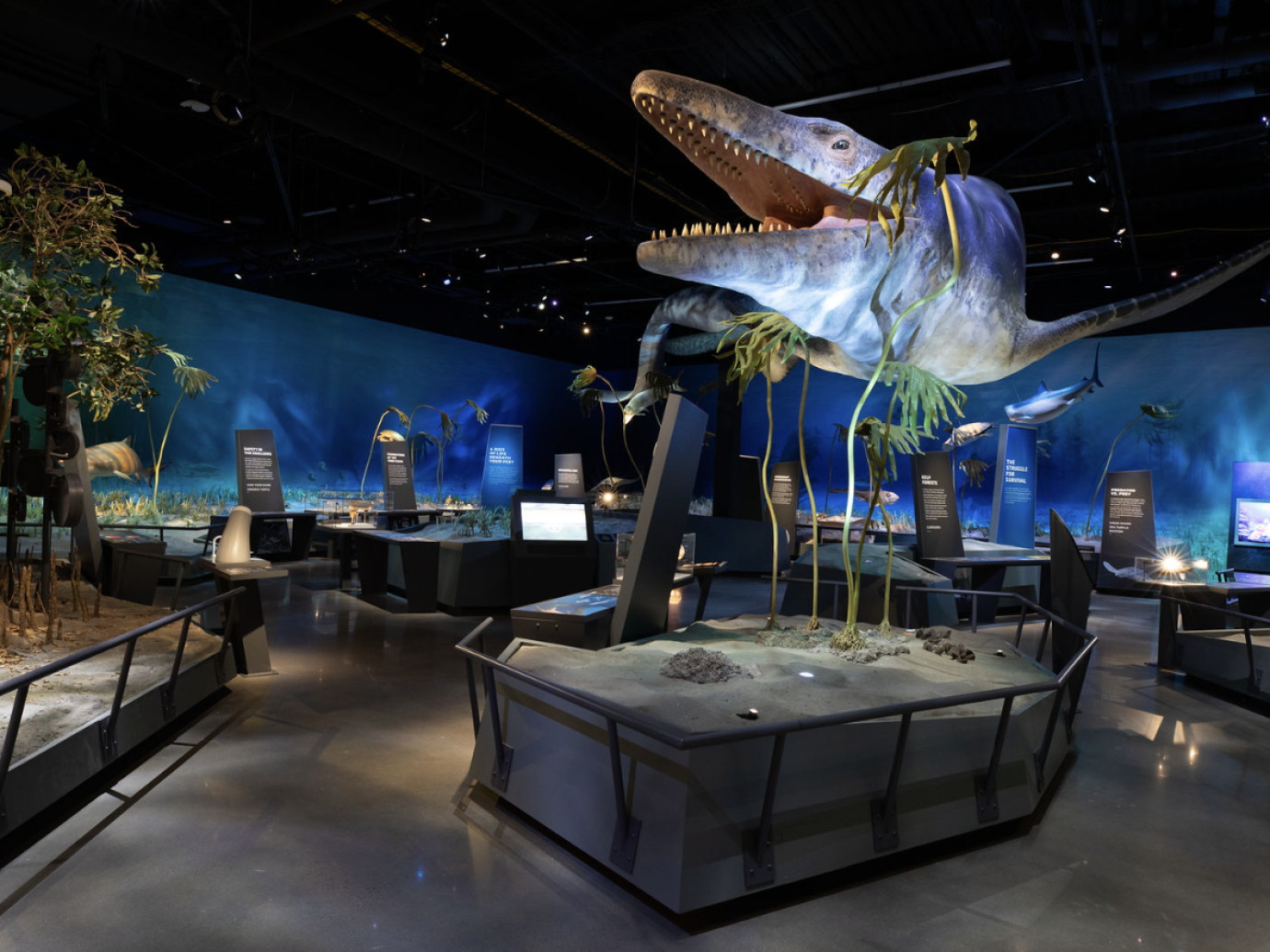 Jean & Ric Edelman Fossil Park & Museum at Rowan University - G&A - G&A
